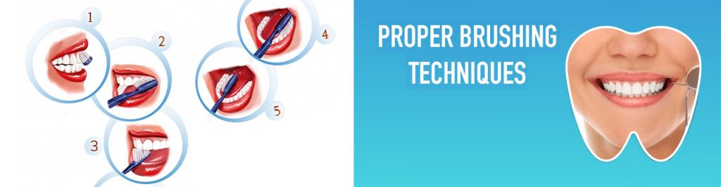 Clinically Proven techniques of Brushing Teeth - Swarna Dento Care